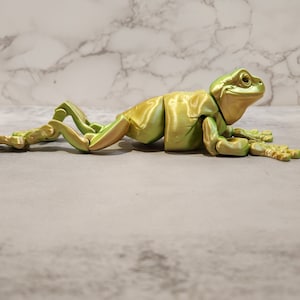 White's Tree Frog Articulated Desk Toy. MATT MIRE MAKES - Etsy