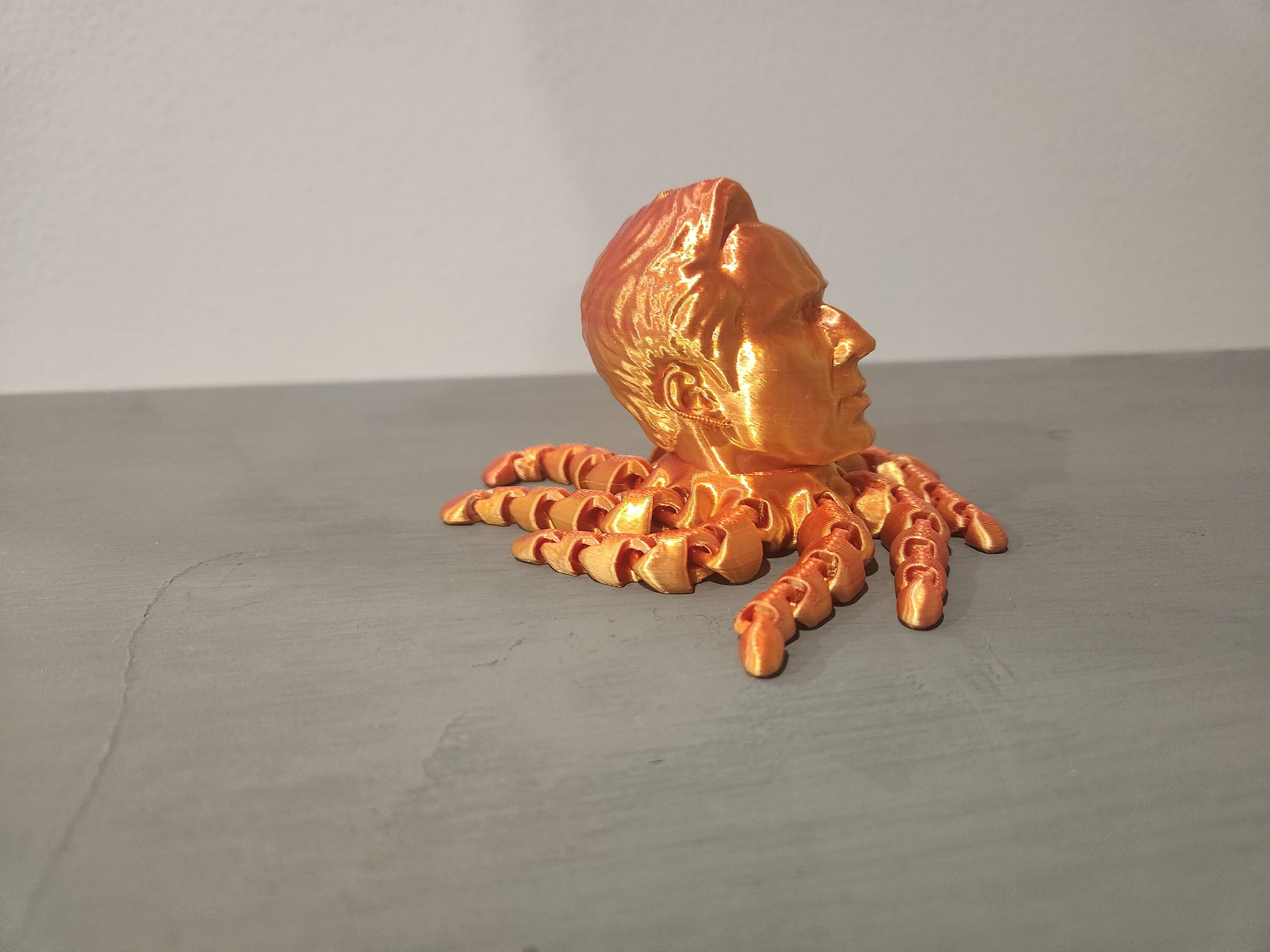 Nicolas Cage Octopus Fidget Toy/ Rocktopus/ Nic Cage - Etsy Canada