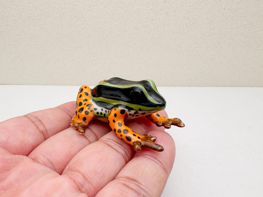 Hand-painted Rio Madeira Poison Dart Frog Figurine – Ceramic Jungle ...