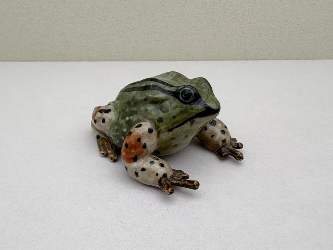 Rustic Ceramic Frog Figurine – Hand-painted Frog Sculpture – Whimsical ...