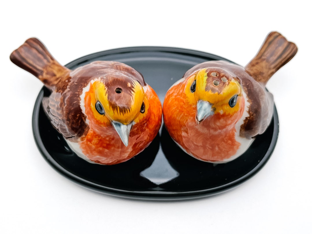 Whimsical Robin Bird Ceramic Salt & Pepper Shakers - Bird Lover Gift - Etsy