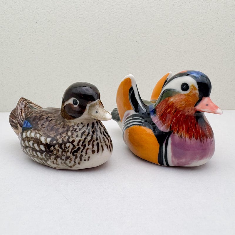 Asian Paint Duck - Etsy