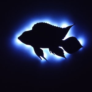 3D Printed Apistogramma Cichlid LED Silhouette Lamp - Etsy Australia