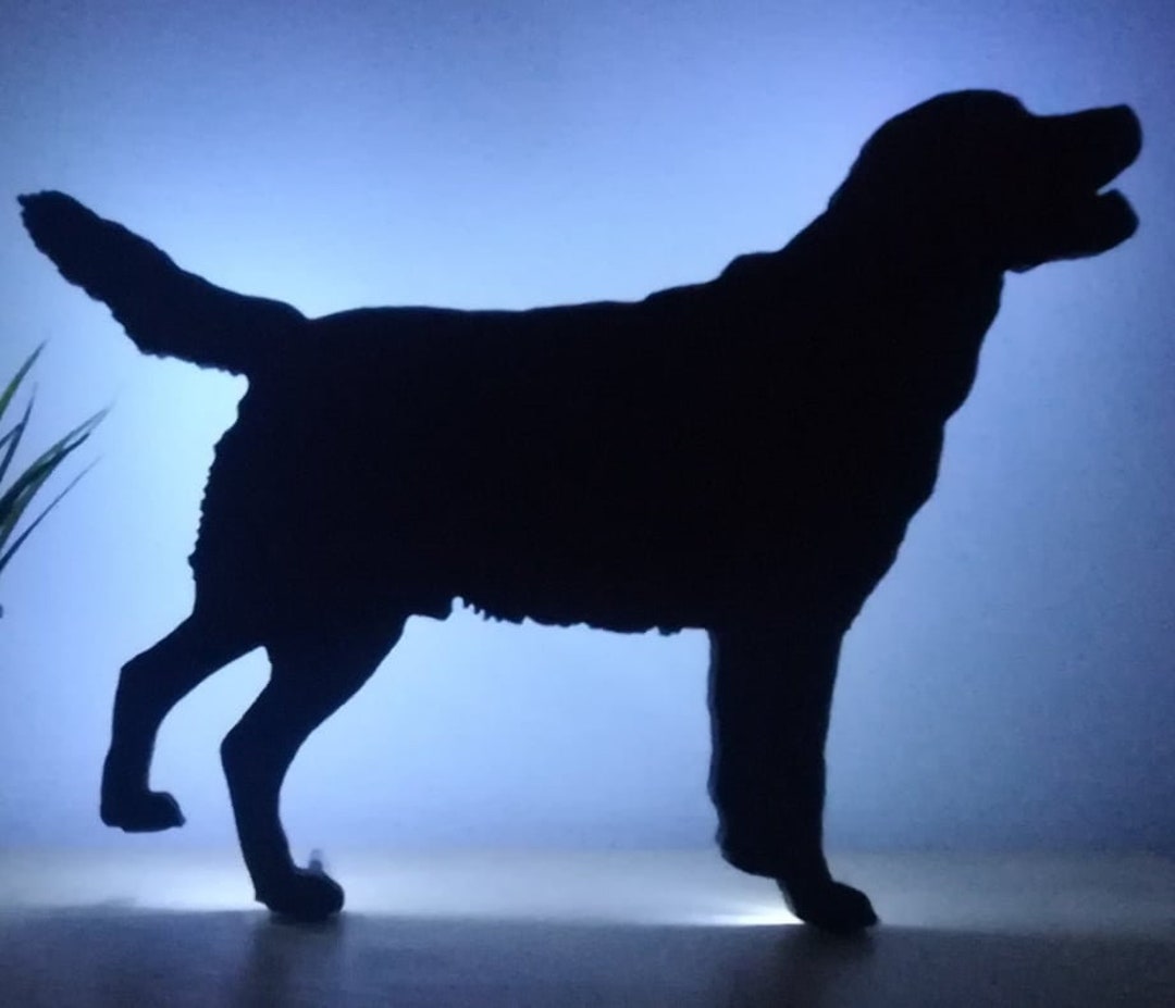 Labrador Dog Silhouette LED Lamp 3D Printed - Etsy