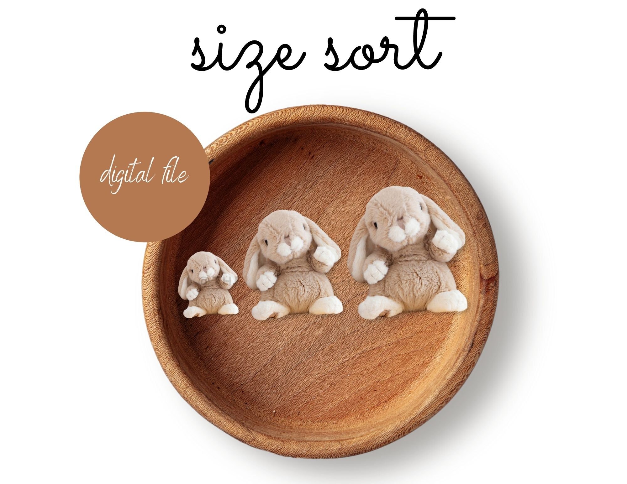 Size Sorting Object Sorting Activity Toddler Activity | Etsy