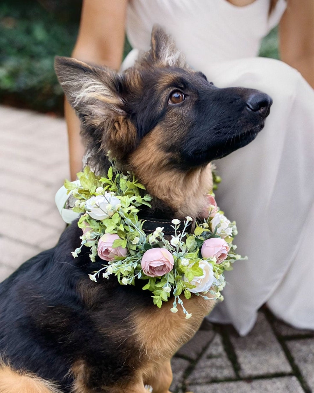 Dusty Pink and White Roses Dog Wedding Wreath, Dog Wedding Collar ...