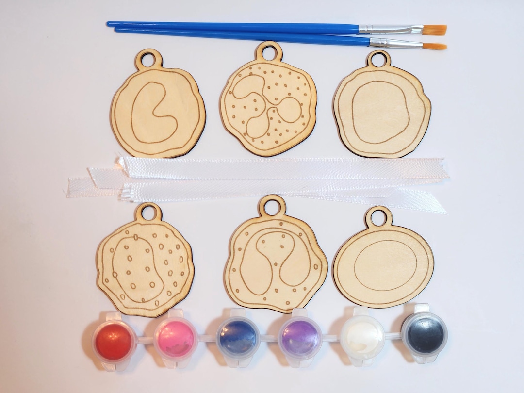 Paint Your Own Wood Blood Cell Holiday Ornament Kit - DIY Activity for ...