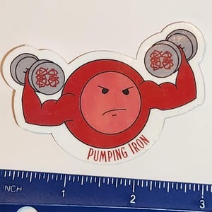 Red Blood Cell pumping Iron Pun Sticker - Etsy