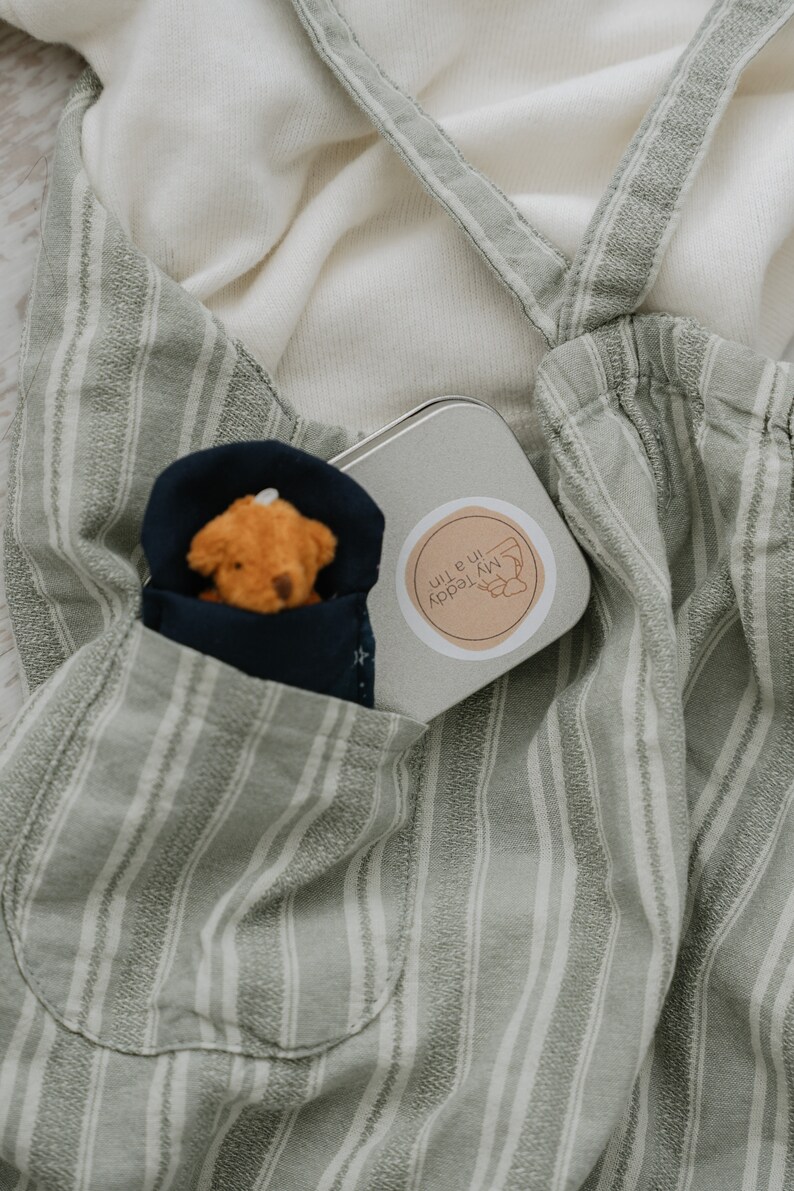 Tiny Friendship Bear Best Friends Gift Teddy in a Tin TM - Etsy