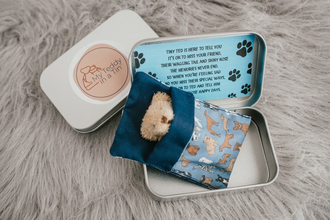 Loss of a Dog My Teddy in a Tin TM Bereavement Sympathy Pet Loss ...