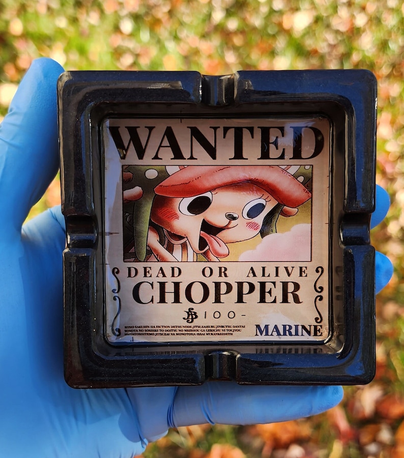 Anime Luffy Zorro Ace Chopper Robin Sanji Nami or Usopp - Etsy