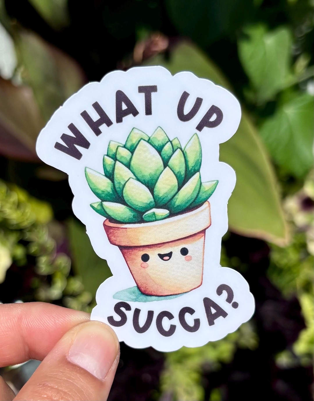 What up Succa Sticker | Punny Plant Decal - Etsy