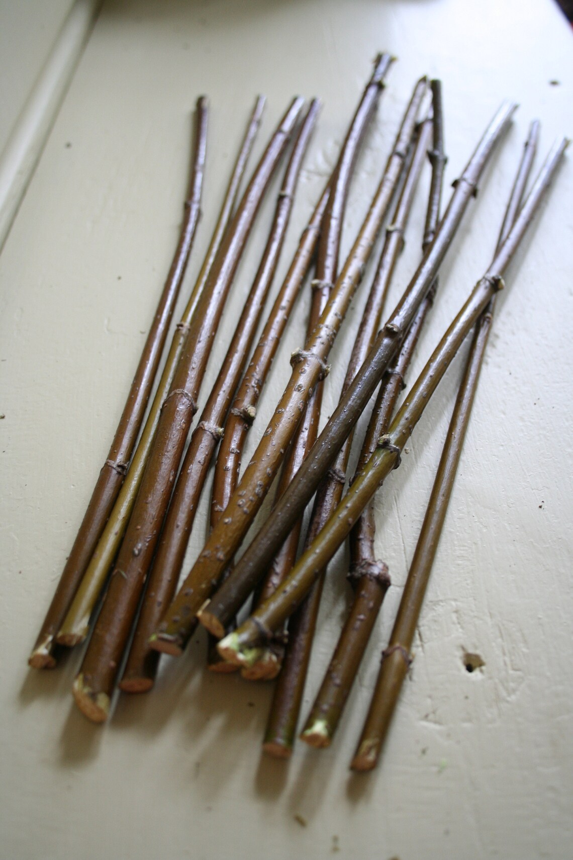 Branches of the Tree Bundle of Tree Twigs for Rustic Decor House Crafts ...