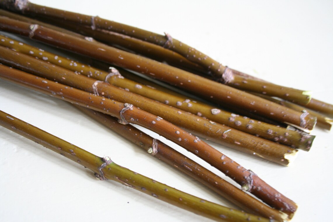 Branches of the Tree Bundle of Tree Twigs for Rustic Decor House Crafts ...