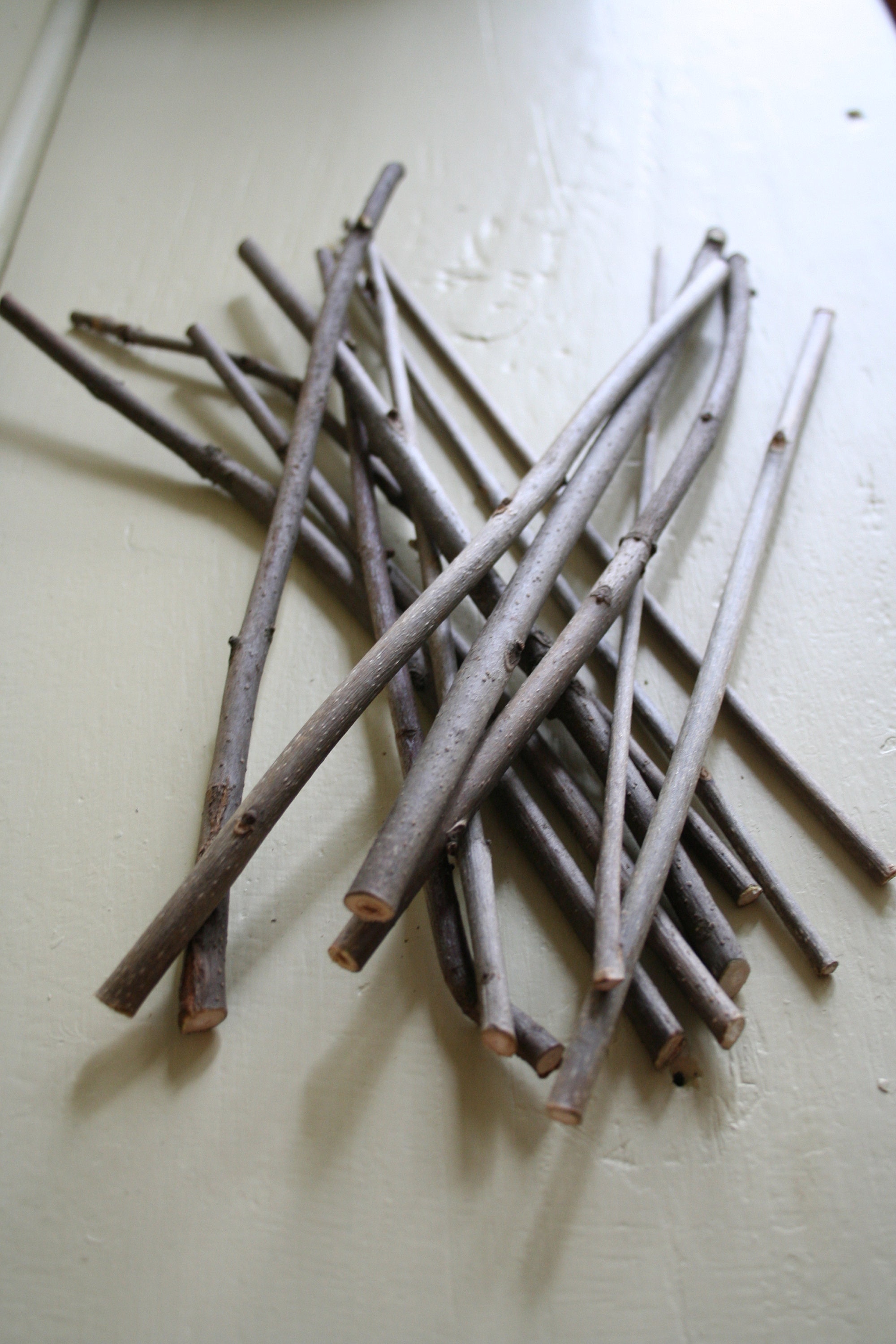 Branches of the Tree Bundle of Tree Twigs for Rustic Decor House Crafts ...