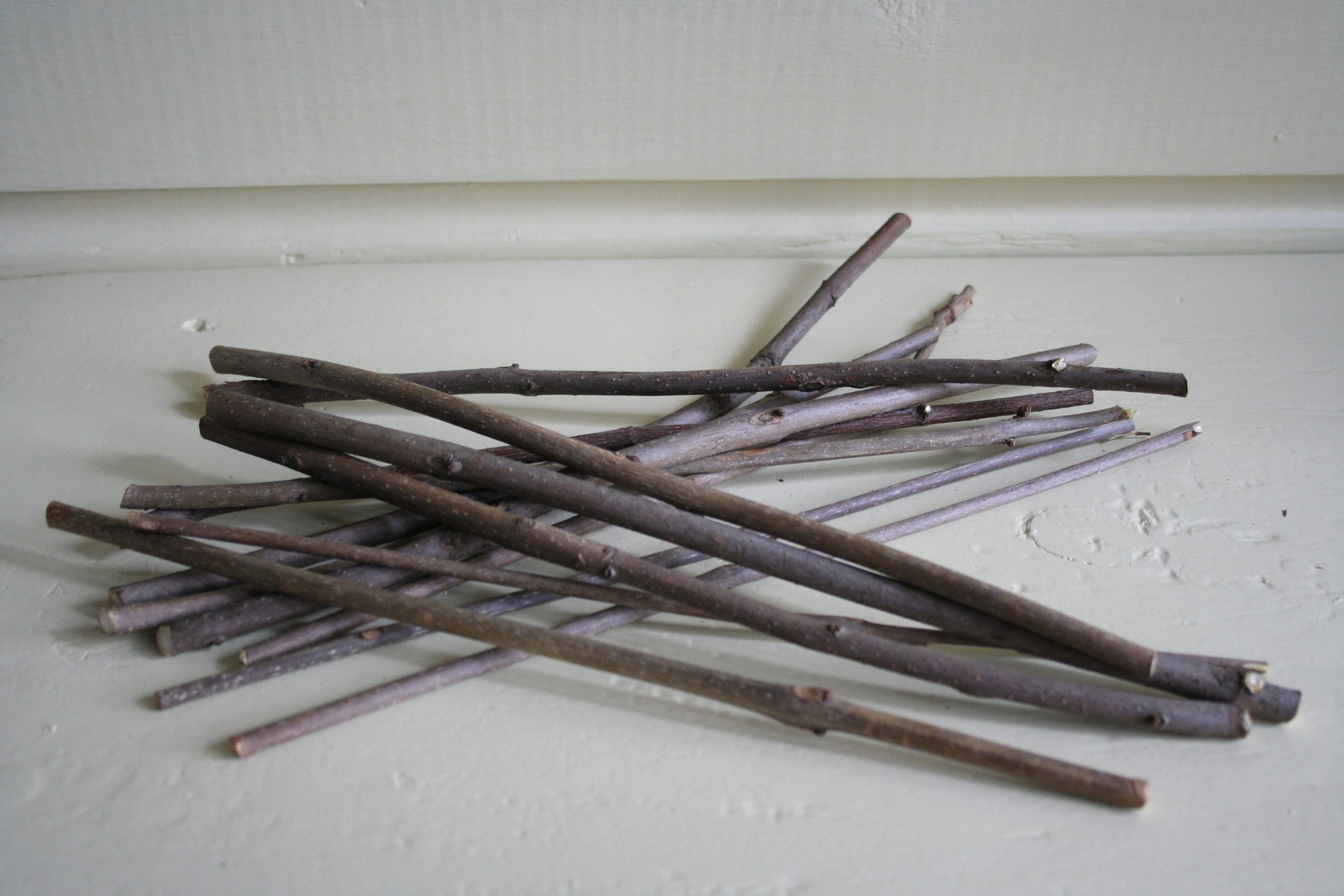 Branches of the Tree Bundle of Tree Twigs for Rustic Decor House Crafts ...