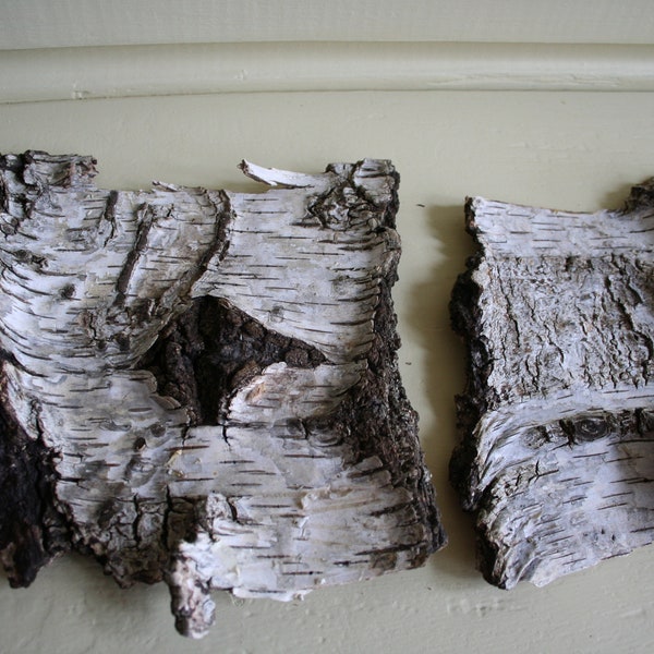 White Birch Bark - Etsy