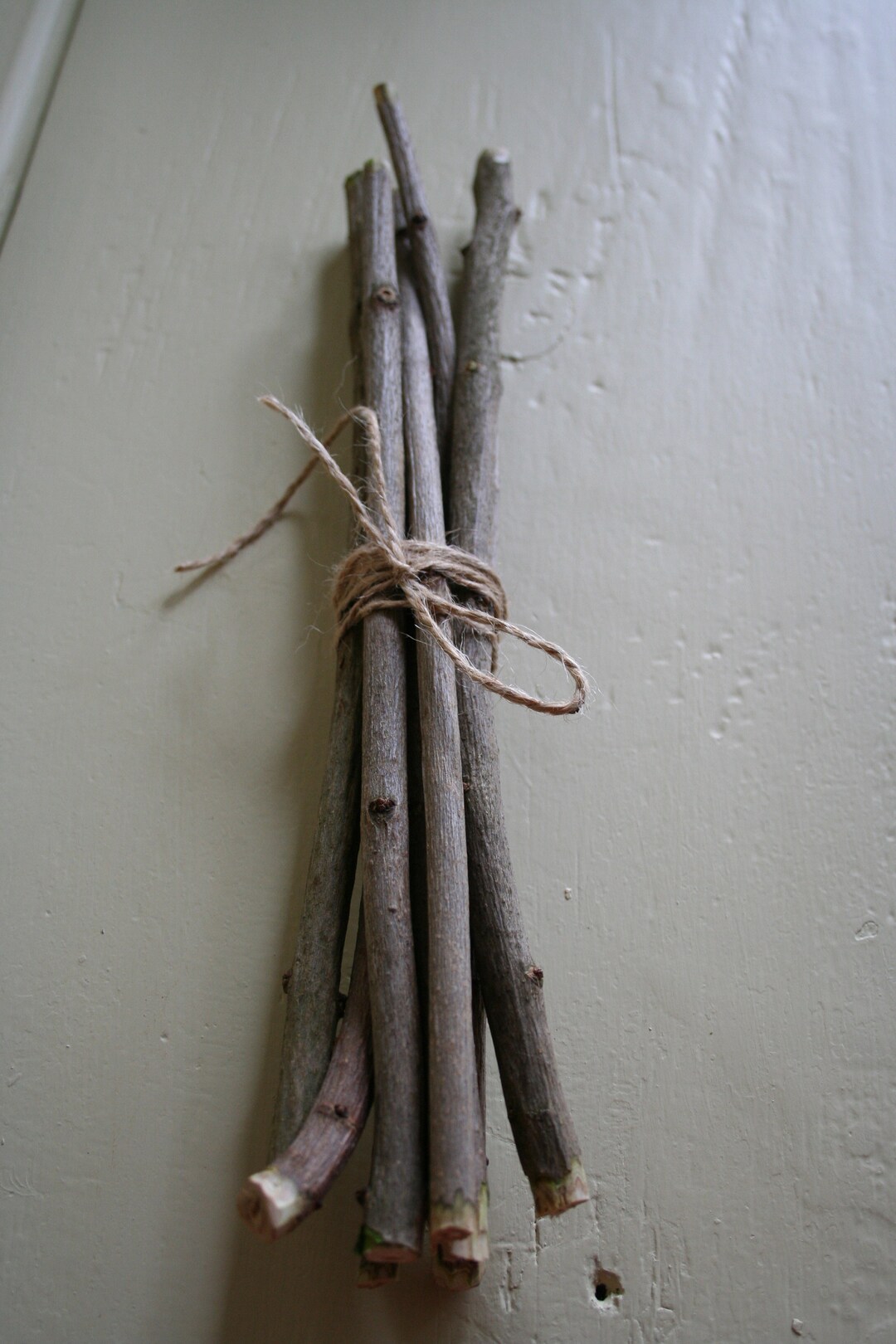 Branches of the Lilac Tree Bundle of Lilac Tree Twigs for Rustic Decor ...