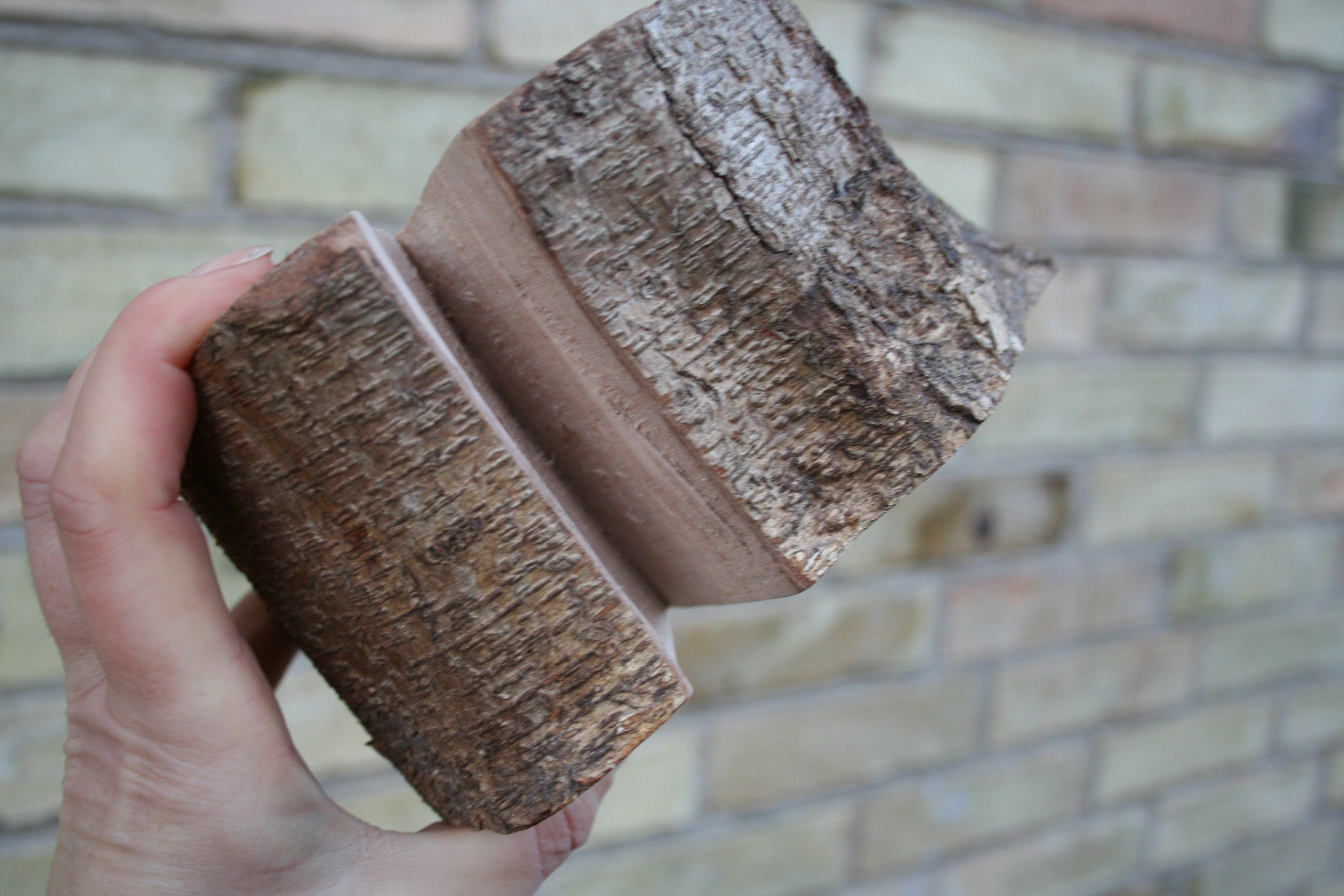 Natural HAZEL Wood Log for DIY - Etsy