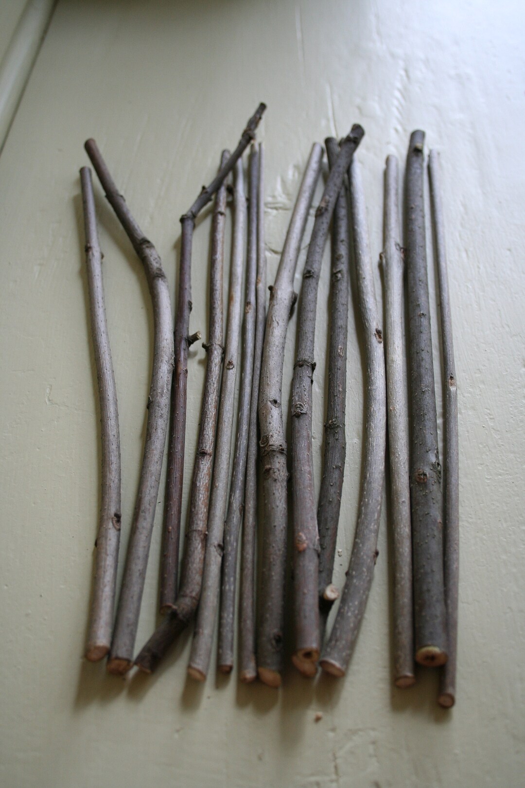 Branches of the Tree Bundle of Tree Twigs for Rustic Decor House Crafts ...