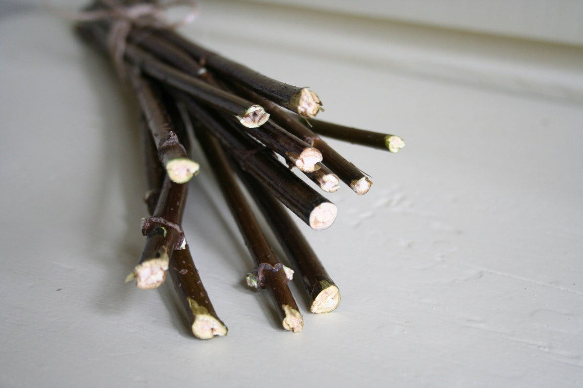 Branches of the Tree Bundle of Tree Twigs for Rustic Decor House Crafts ...