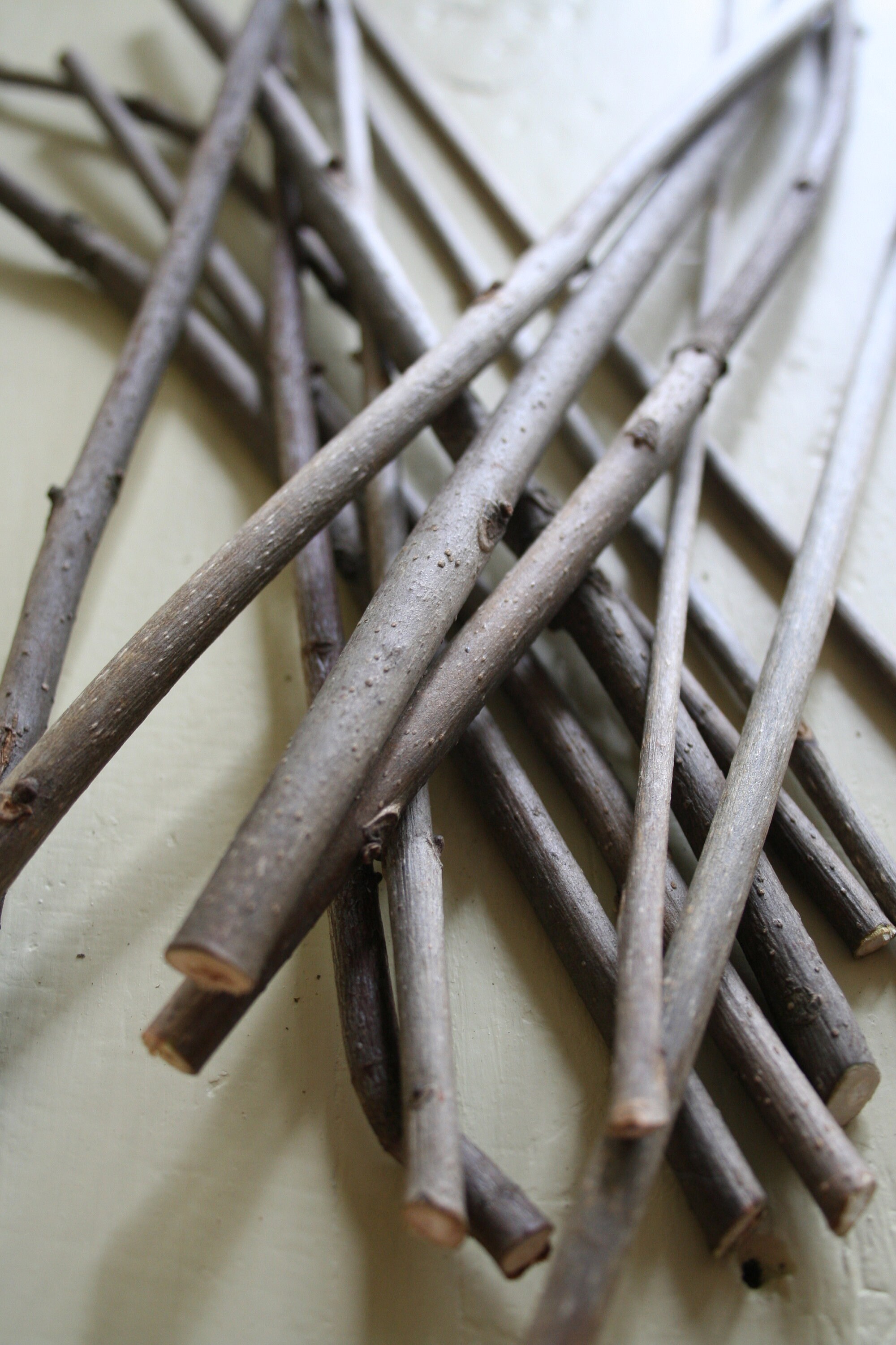 Branches of the Tree Bundle of Tree Twigs for Rustic Decor House Crafts ...