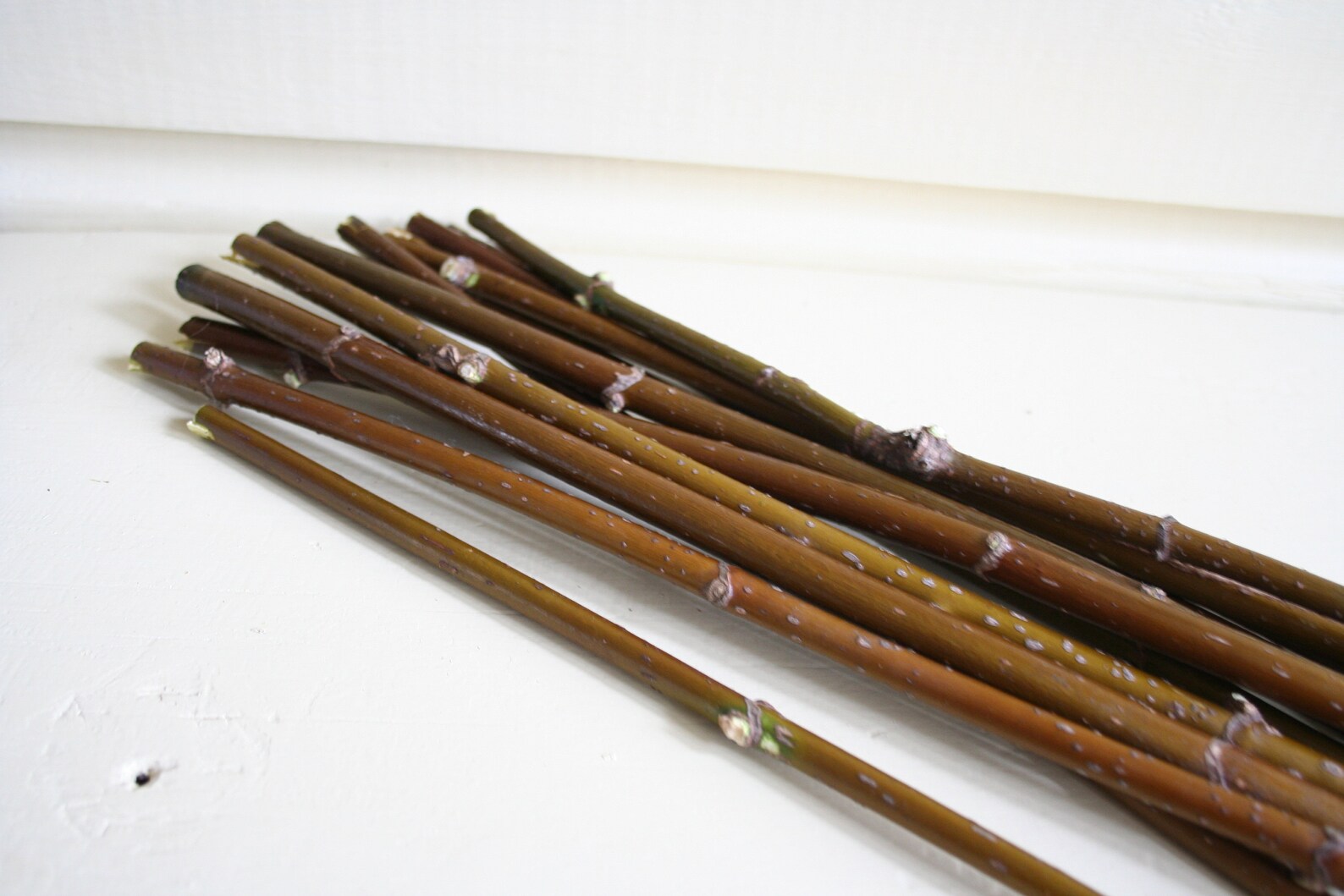 Branches of the Tree Bundle of Tree Twigs for Rustic Decor House Crafts ...