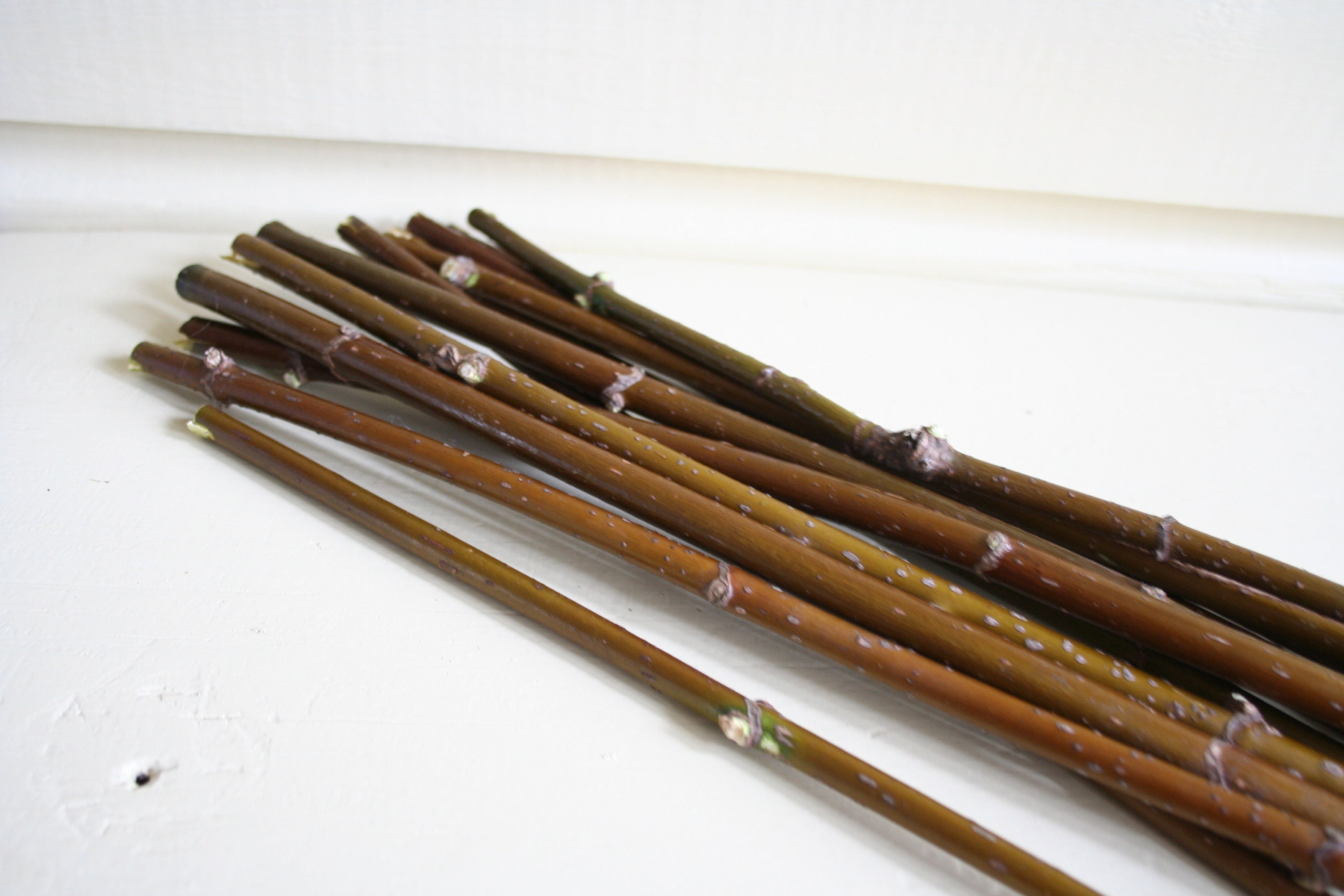 Branches of the Tree Bundle of Tree Twigs for Rustic Decor House Crafts ...