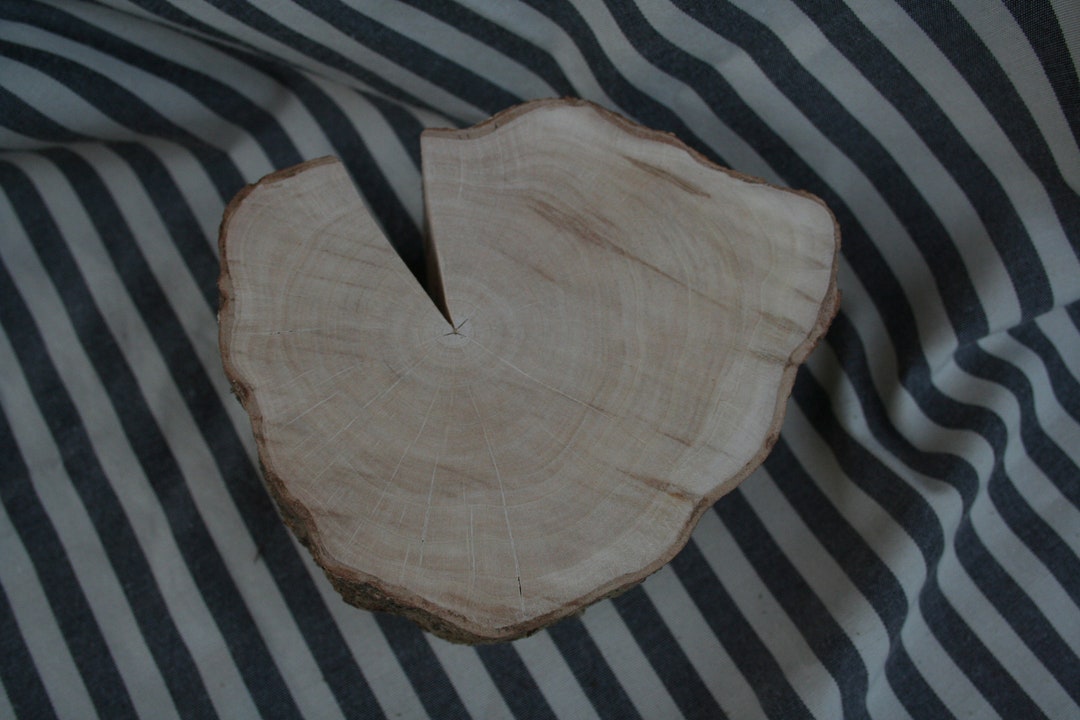 Natural HAZEL Wood Log for DIY - Etsy