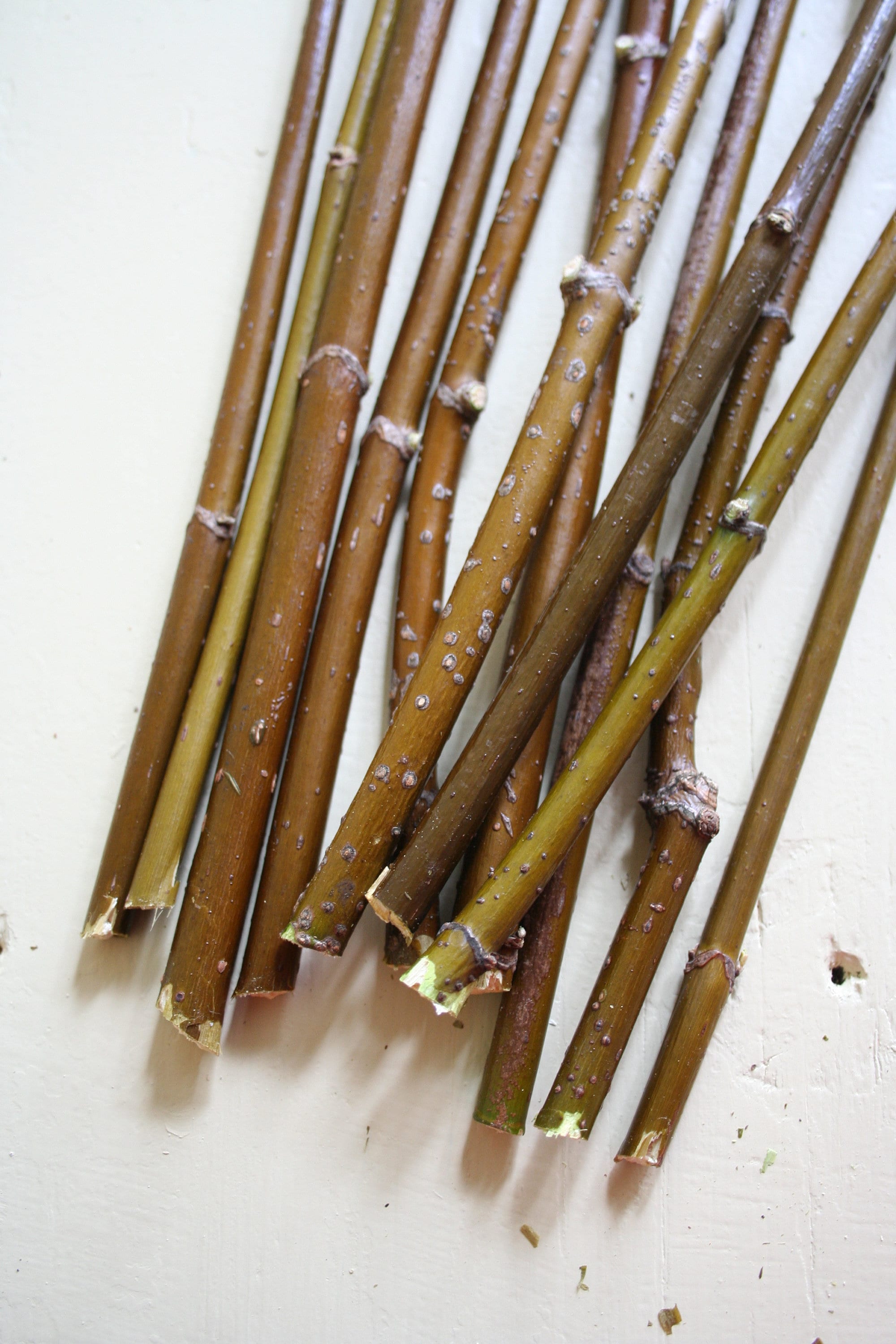 Branches of the Tree Bundle of Tree Twigs for Rustic Decor House Crafts ...