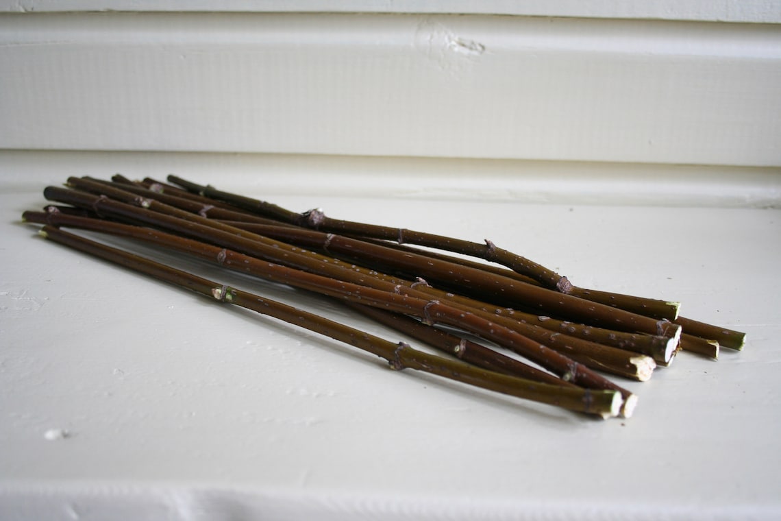 Branches of the Tree Bundle of Tree Twigs for Rustic Decor House Crafts ...