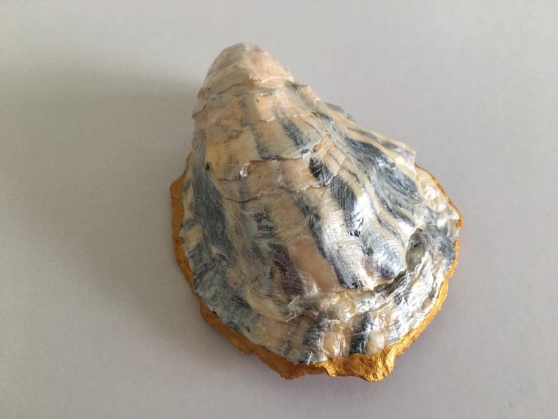 Whale : Oyster Shell Trinket - Jewellery - Ring Dish - Bowl - Natural ...