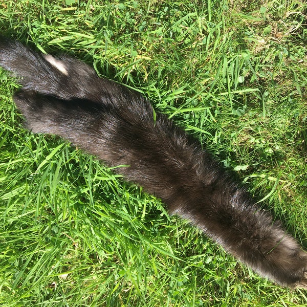 Russian Sable - Etsy