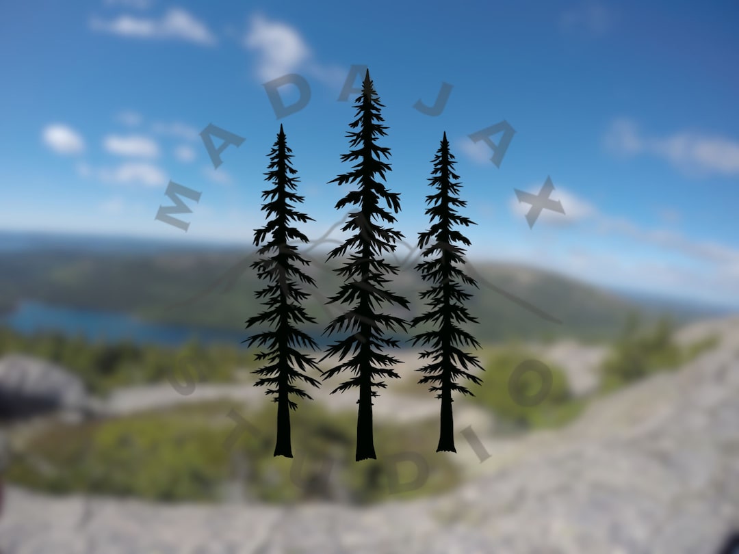 Pine Trees Vinyl Decal, Car Vinyl Decal Sticker, Car Window Decal ...