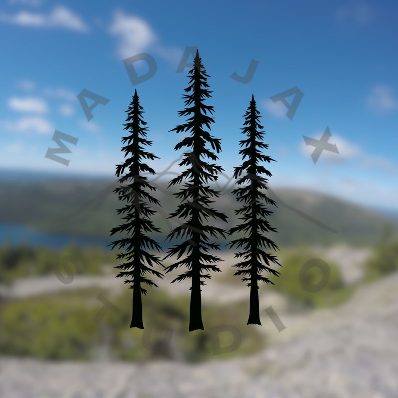 Pine Tree Decals - Etsy