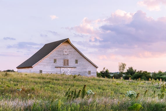 White Barn in a Spring Field of Flowers in Front of a Pink - Etsy