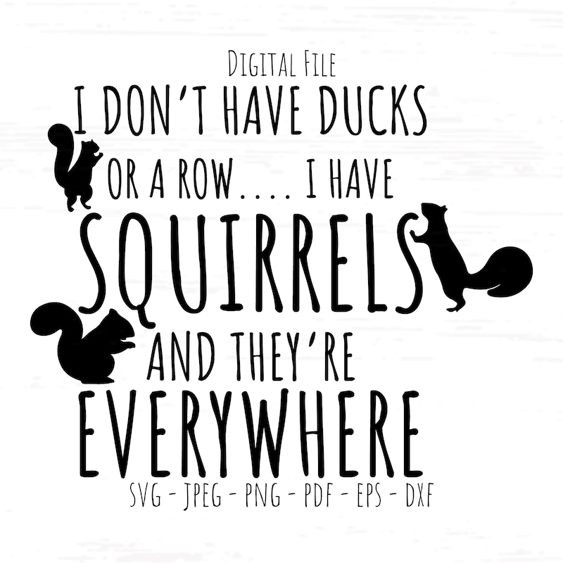 My Ducks Are Not in a Row - Etsy