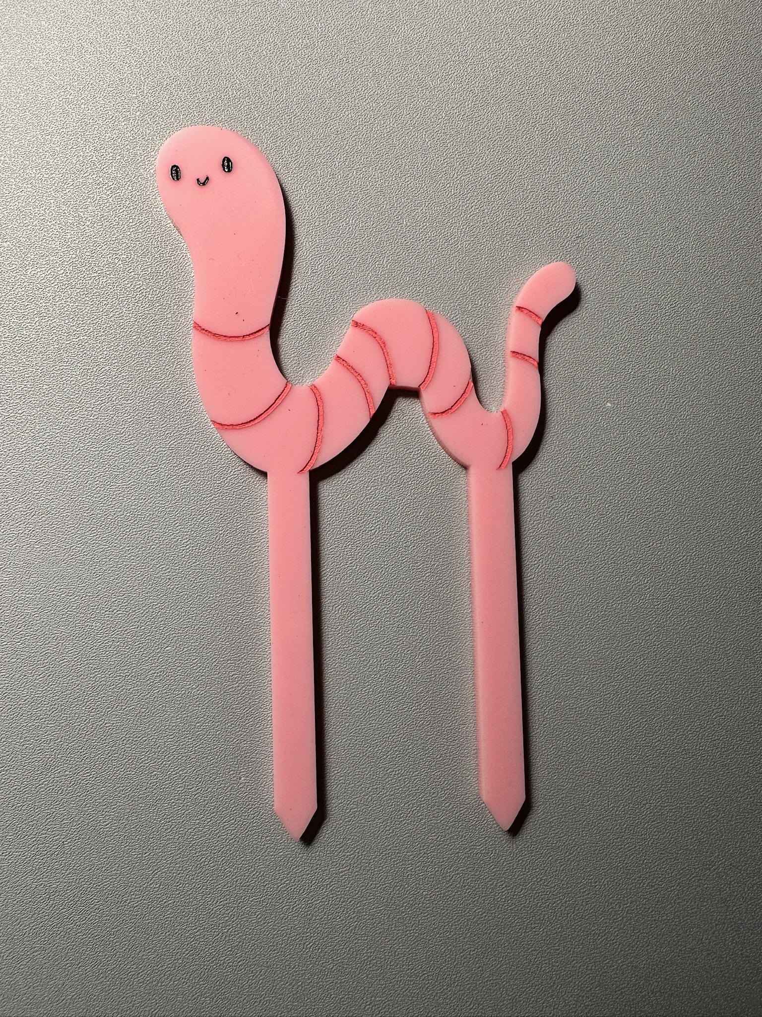 Worm Friend Plant Stake Set for Houseplants or Garden Beds - Etsy