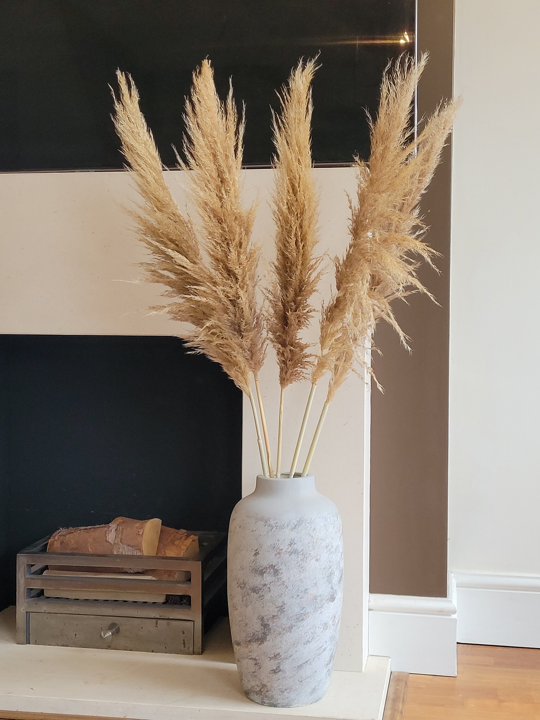 Large Pampas Grass 5 Stems Pampass Grass Beige Natural Etsy Uk