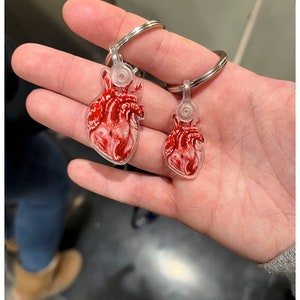 Anatomical Heart Keychain (select Size) - Etsy