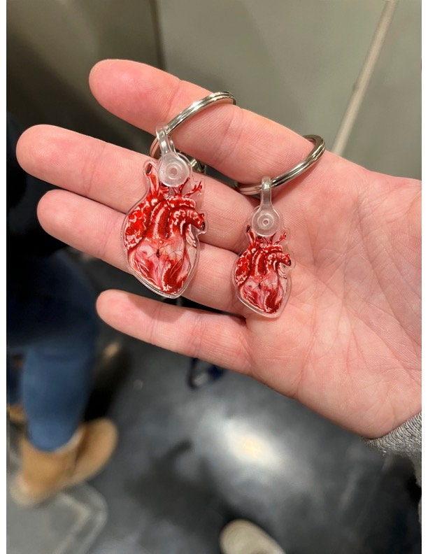 Anatomical Heart Keychain (select Size) - Etsy