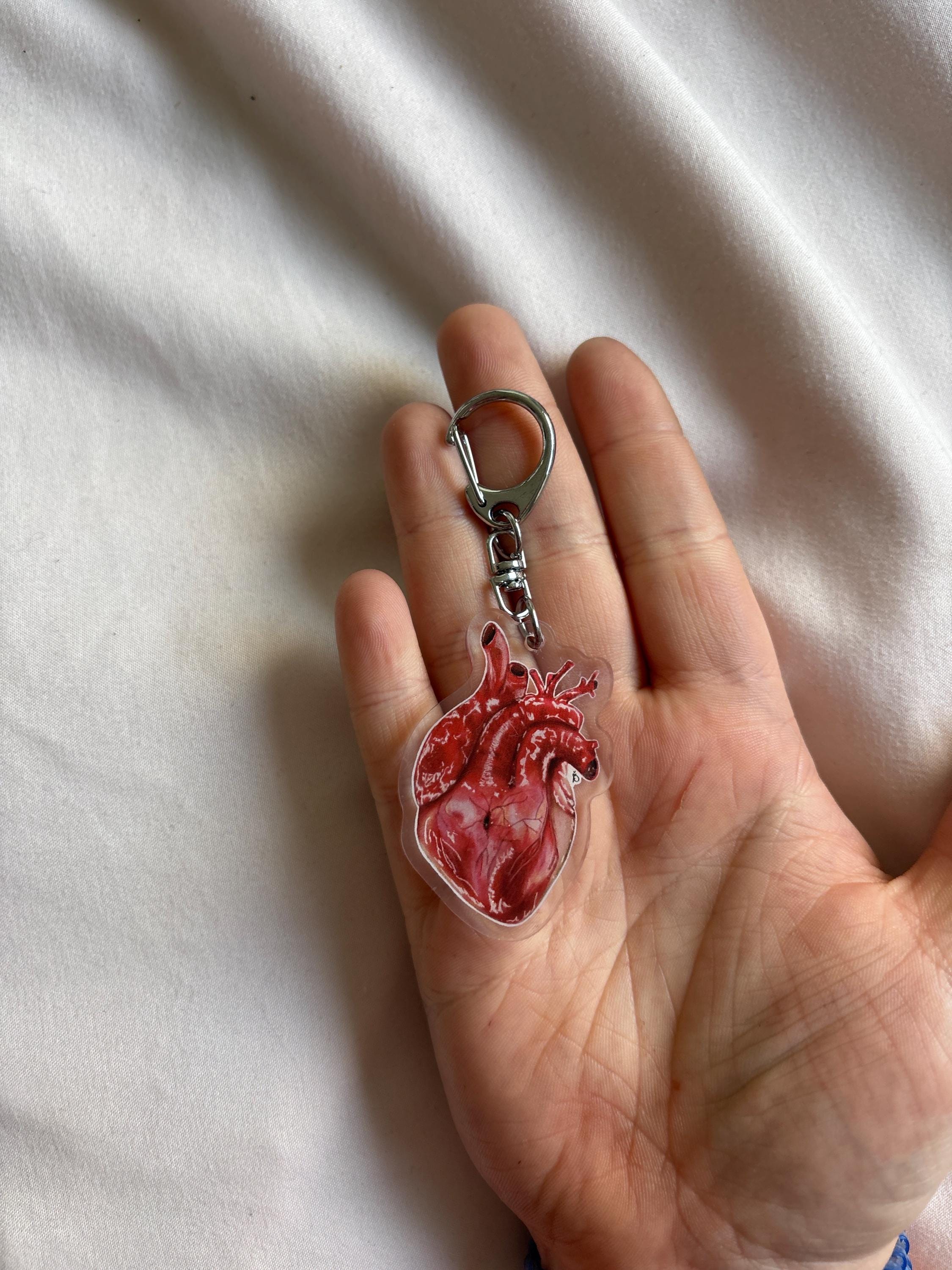Anatomical Heart Keychain (select Size) - Etsy