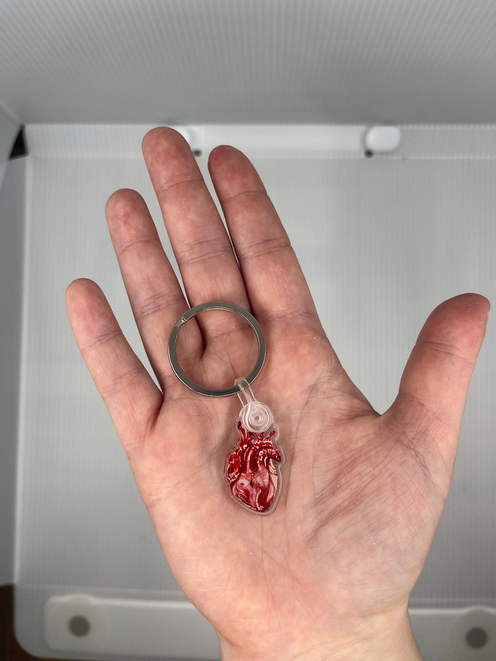 Anatomical Heart Keychain (select Size) - Etsy