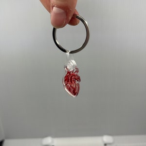 Anatomical Heart Keychain (select Size) - Etsy