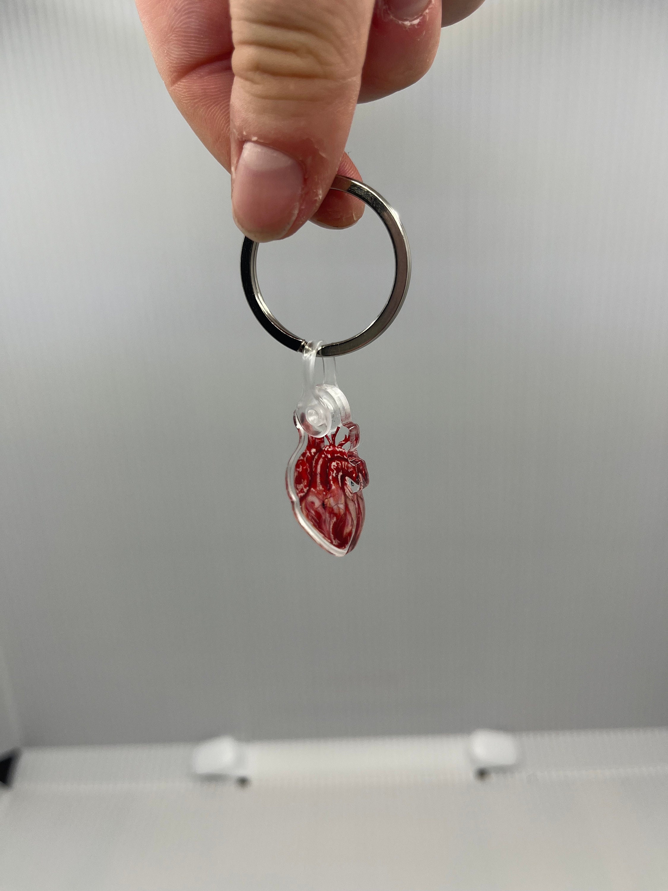 Anatomical Heart Keychain (select Size) - Etsy