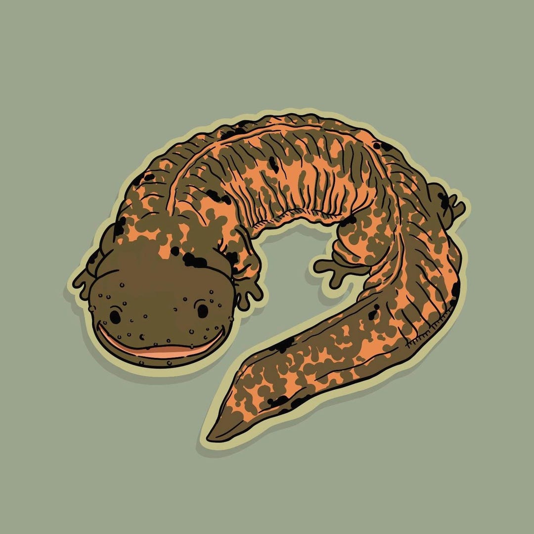 Eastern Hellbender Salamander Vinyl Dye-cut Sticker for Water Bottle ...