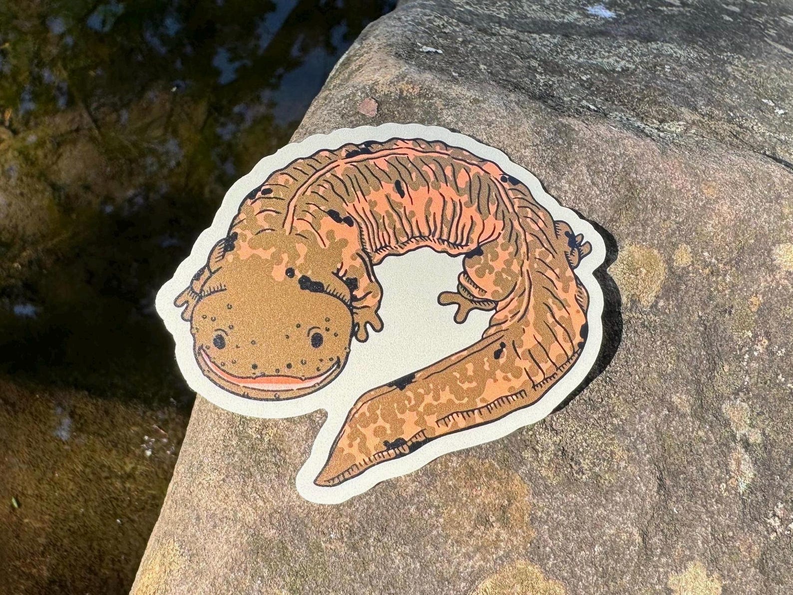 Eastern Hellbender Salamander Vinyl Dye-cut Sticker for Water Bottle ...