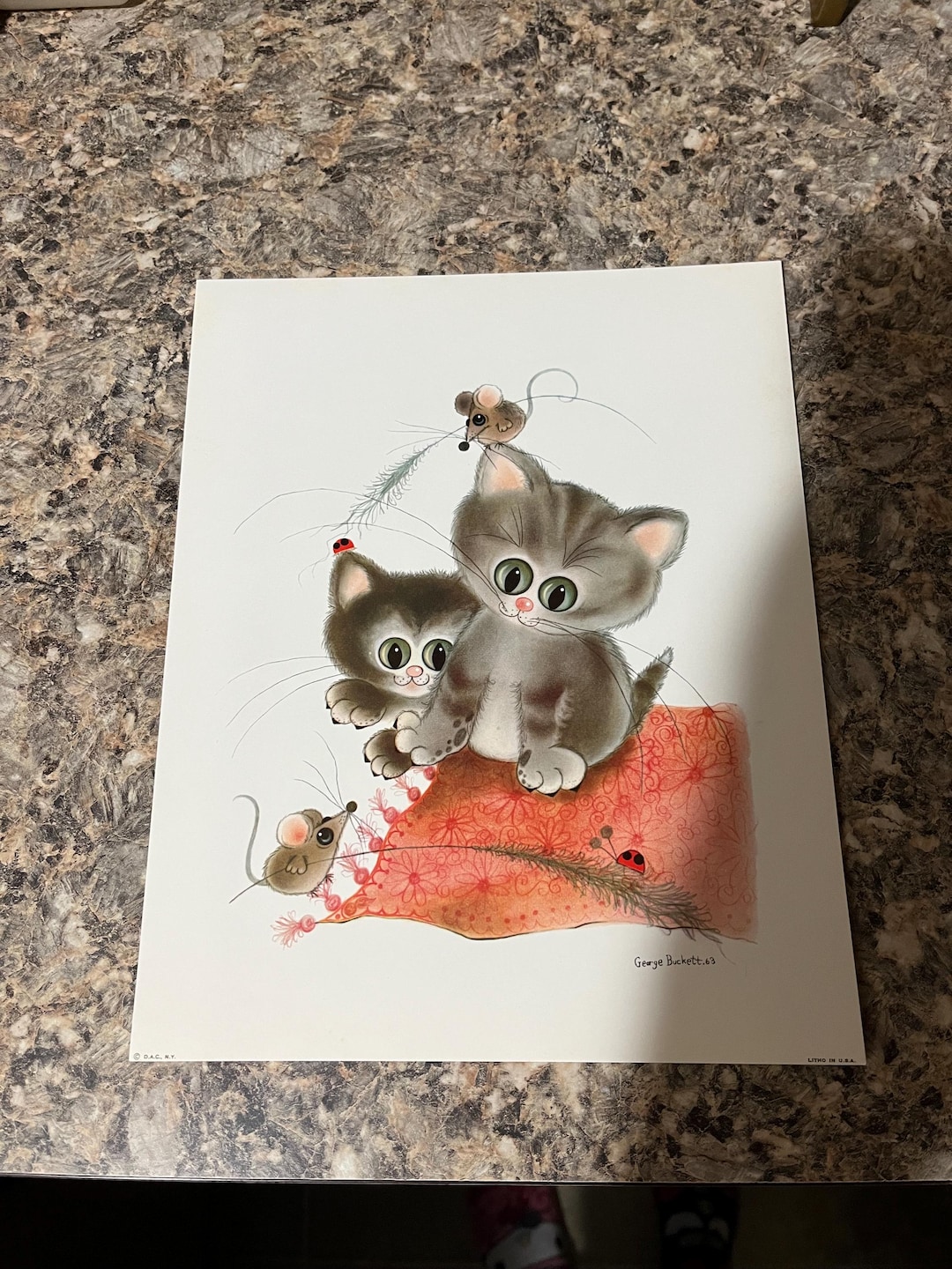 George Buckett Lithograph 1963 Two Cats Kittens Cute 8x10 - Etsy