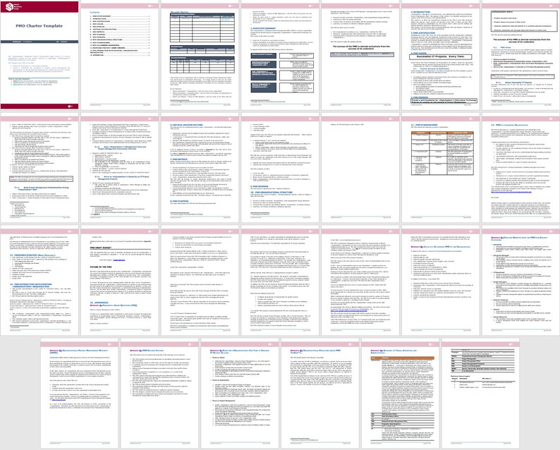 PMO Charter Template - Etsy