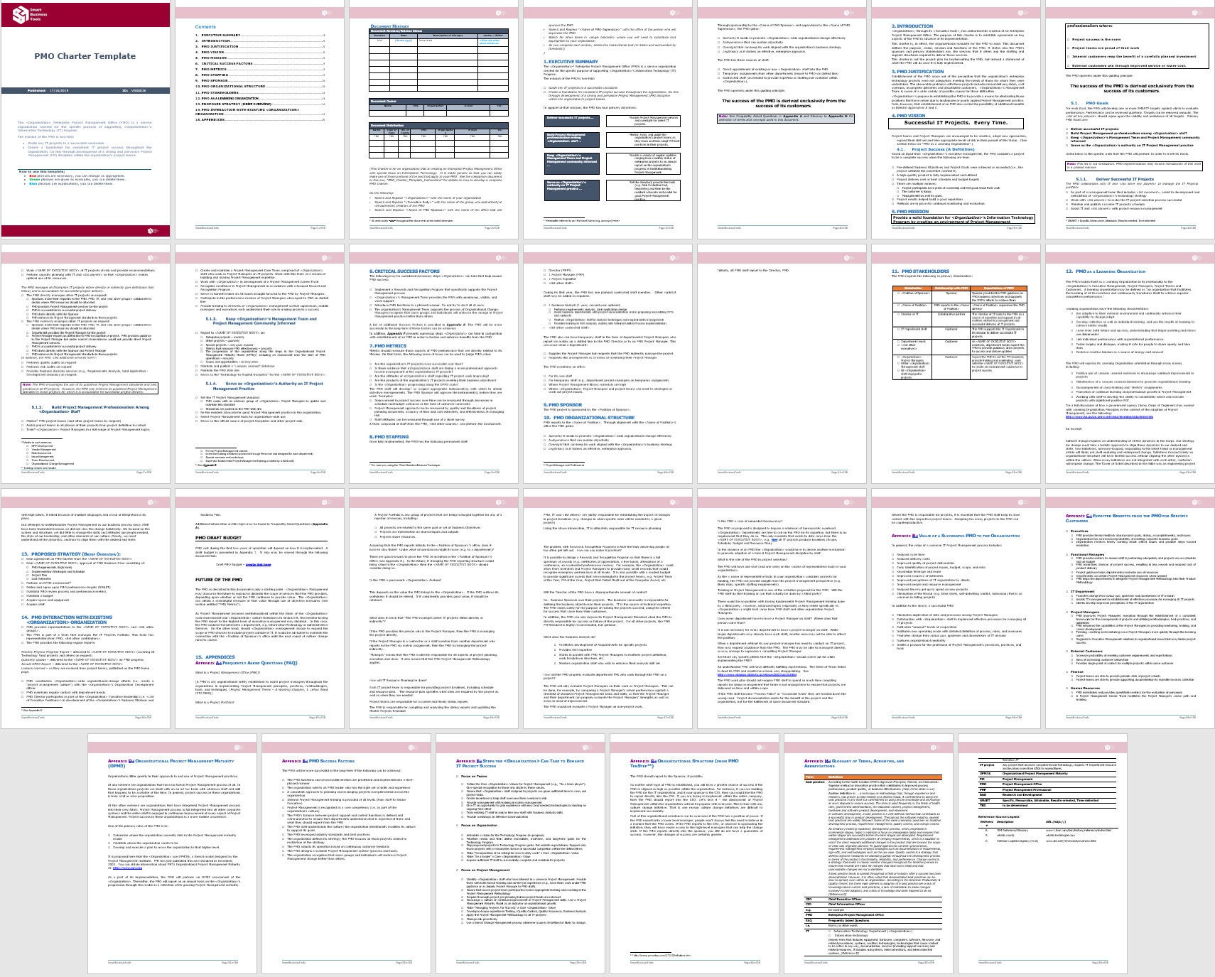 PMO Charter Template - Etsy